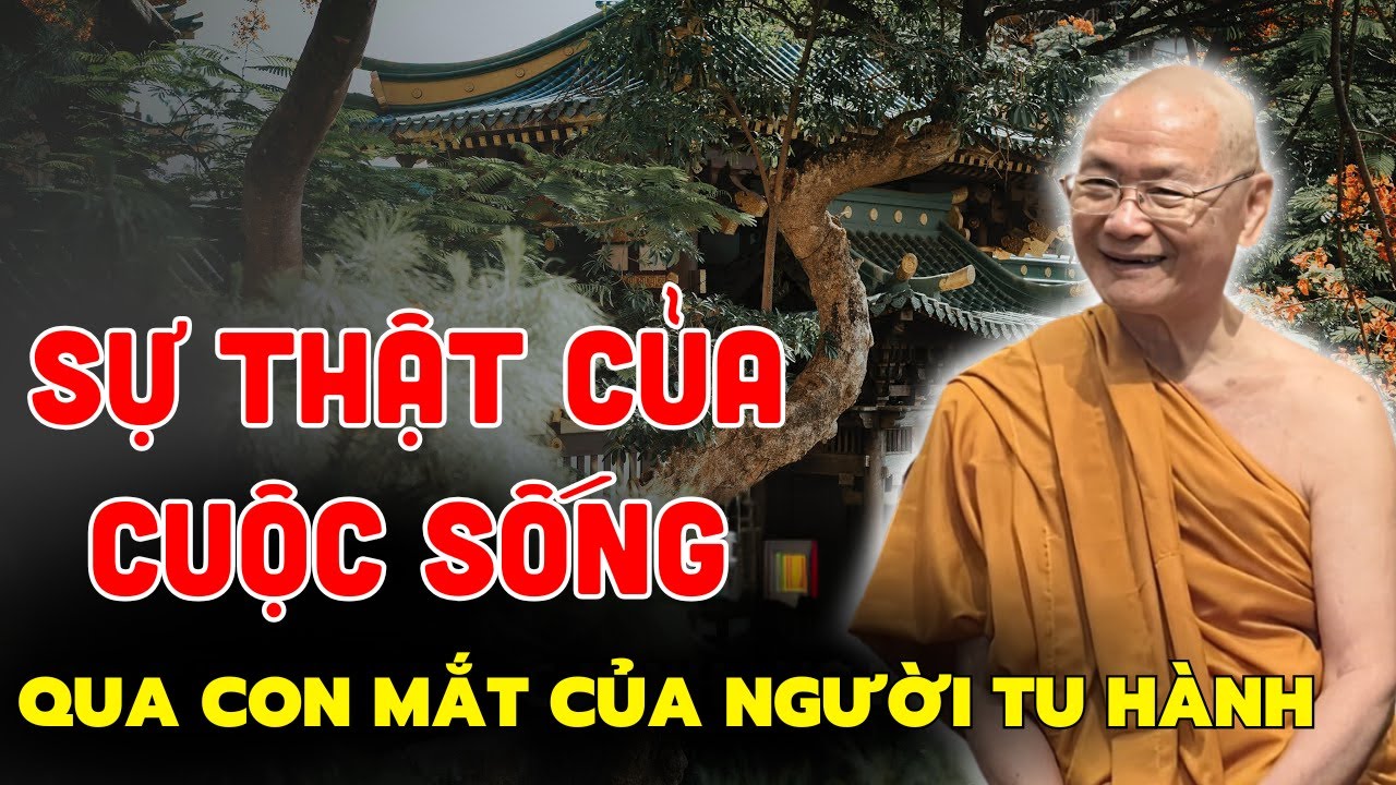 The Truth of Life Through the Eyes of Monks: Insights from Zen Master ...