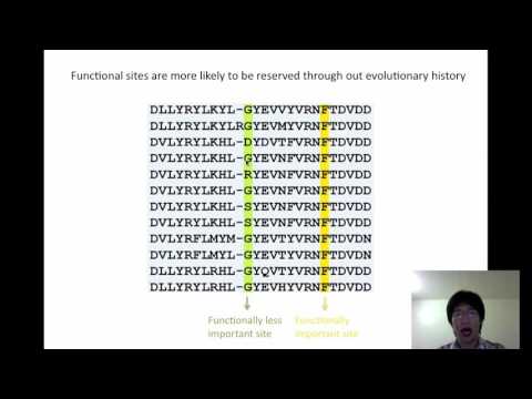 Hui Guo   Prediction of Effects of Non synonymous SNP