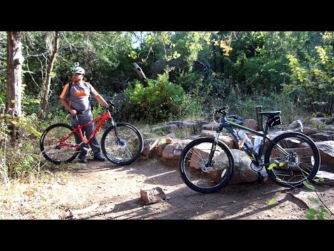 The Haunted Parallel Forest in Oklahoma Is Truly, Deeply Creepy