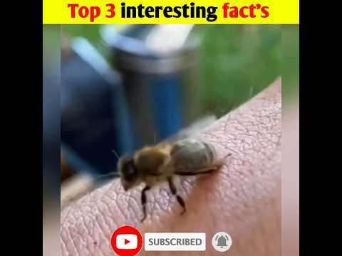 3 गजब के facts #viral #shorts #ytshorts #facts