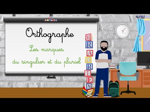 13 Les marques du singulier et du pluriel CE1 (2APG)