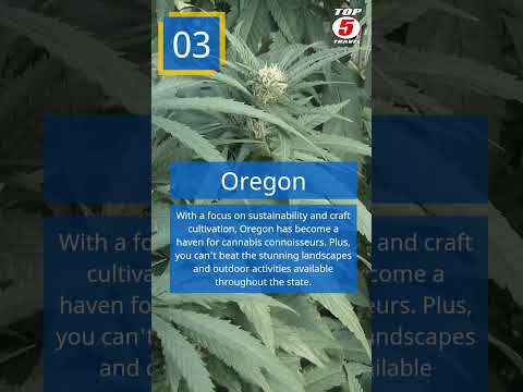 Top 5 States with the Best Marijuana