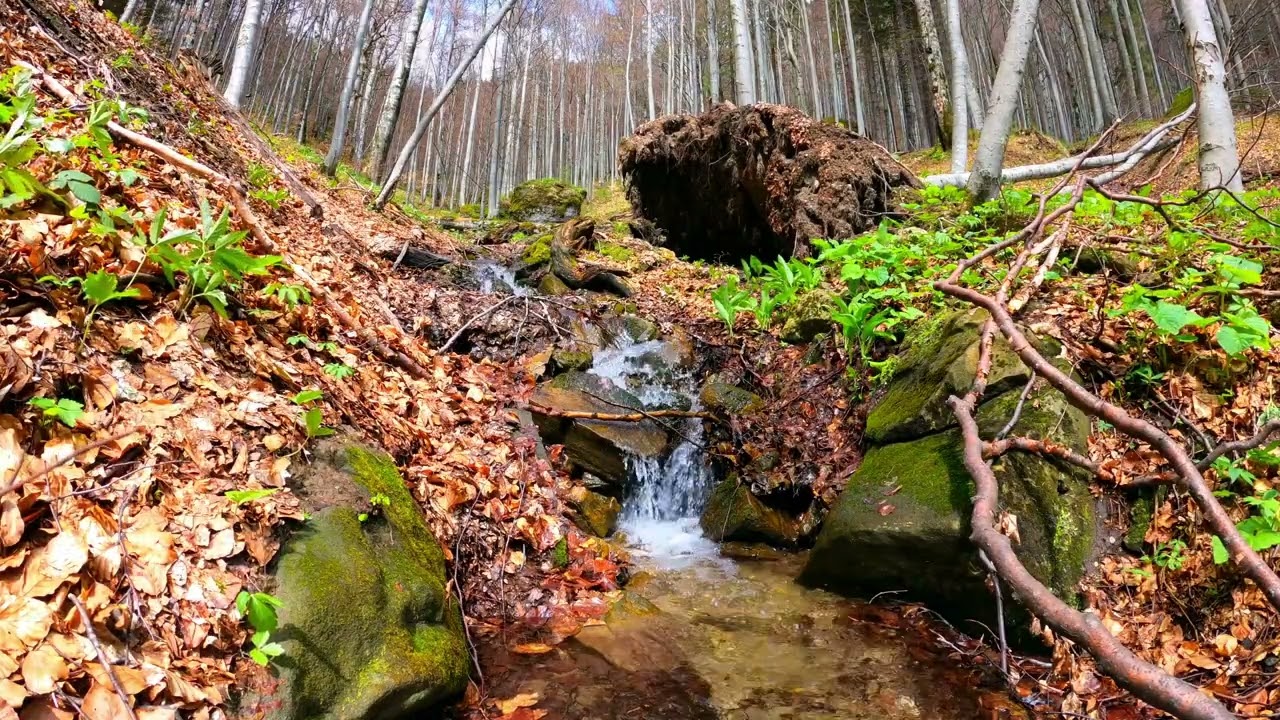 ChillaChella's First Chit Chat | #Random #conversations 