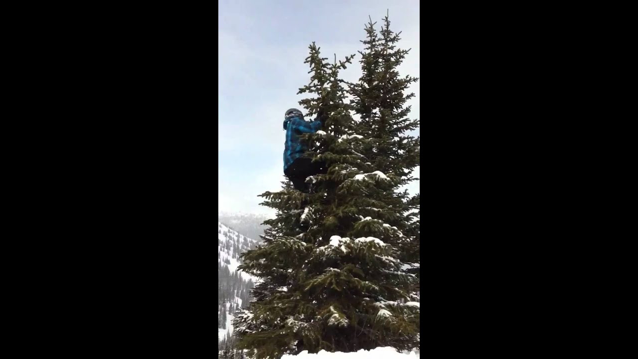 Coloradoing Jasper 2011