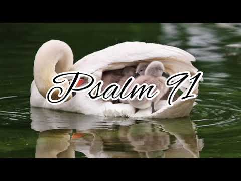 Psalm 91 - NLT Audiovisual