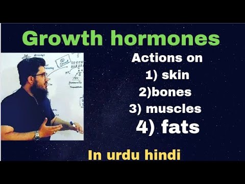 growth hormones lean body mass and much more in Urdu hindi