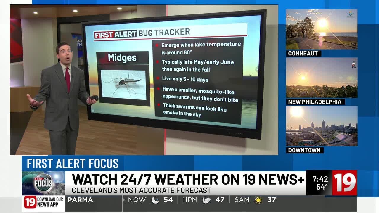 First Alert Focus: Midges bug tracker