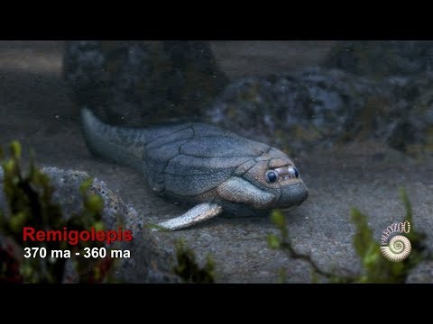 Remigolepis