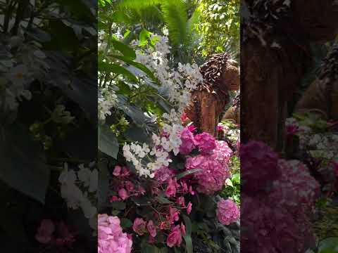 The Gardens of Biltmore Estate | Biltmore