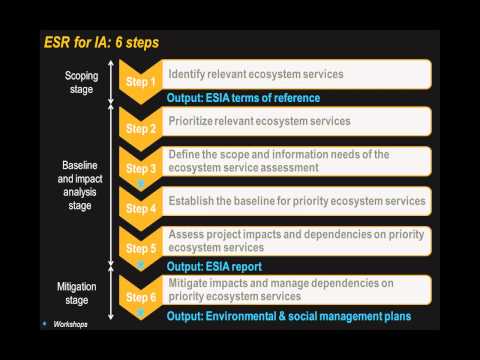 Ecosystem services: What is it about?