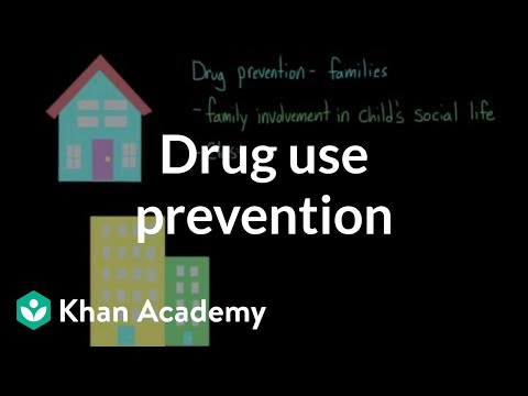 Drug use prevention - school programming and protective factors (video ...