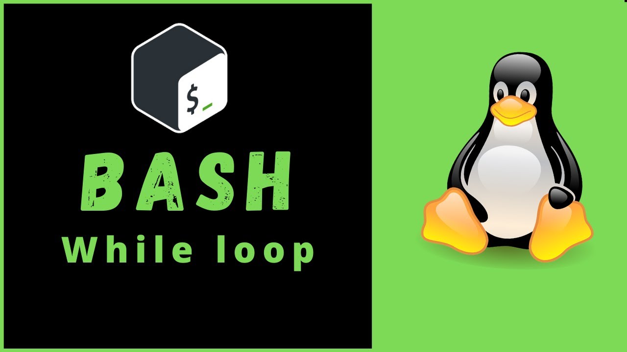 While loop in bash