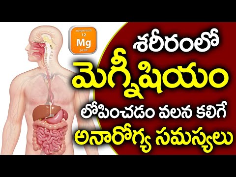 మన శరీరంలో మెగ్నిషియం లోపిస్తే ఏమౌతుందో తెలుసా..? I Magnesium Deficiency I Everything in Telugu