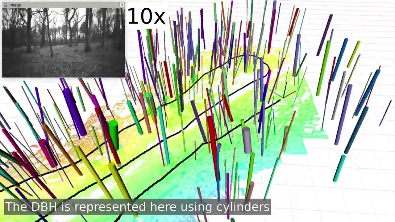 Towards Real-Time Forest Inventory using Handheld LiDAR