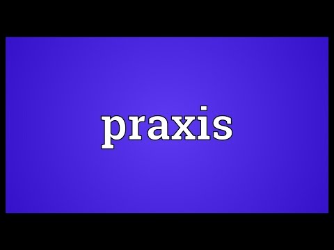 Praxis Meaning