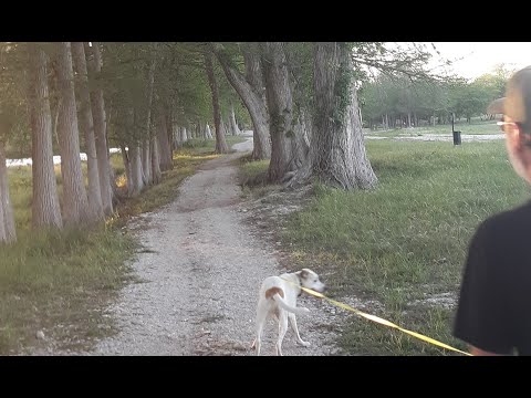 Old River Road RV Resort