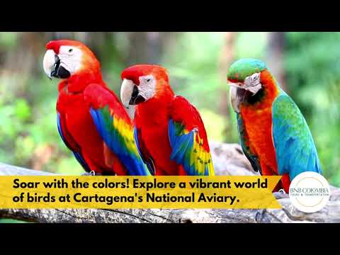 Take a flight, a journey through Cartagena's National Aviary