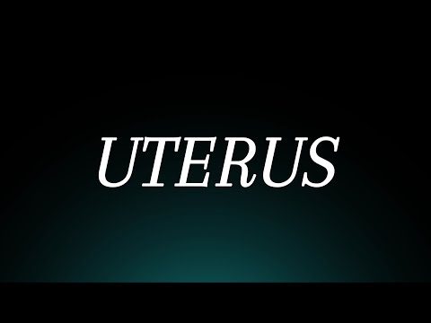 Learn How to Pronounce 'Uterus'! Correctly (Medical Term Pronunciation)