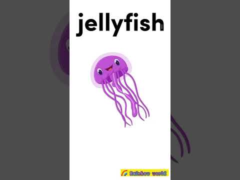 Words starting with english alphabet letter J j