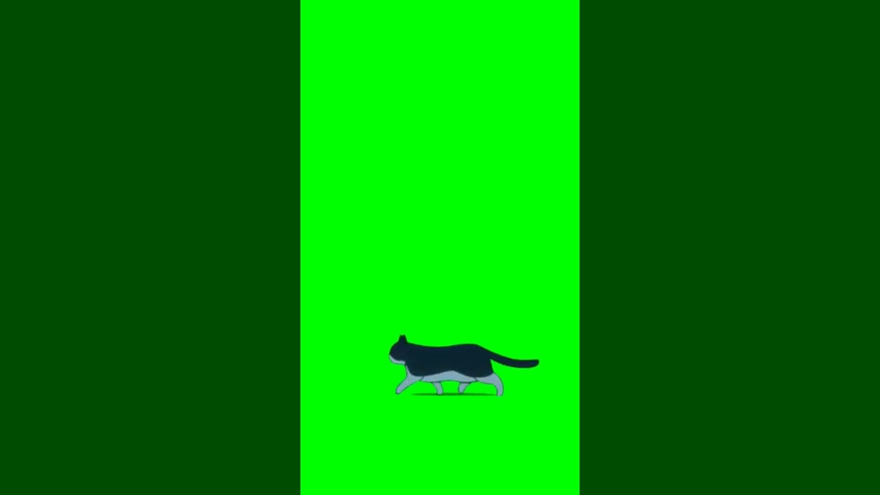 Green screen animation cat walking #cat #cats #shorts #viral #3d #tiktok #3danimation #2d #video