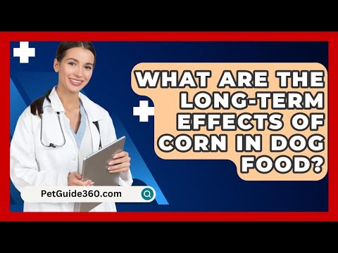 What Are The Long-term Effects Of Corn In Dog Food? - PetGuide360.com