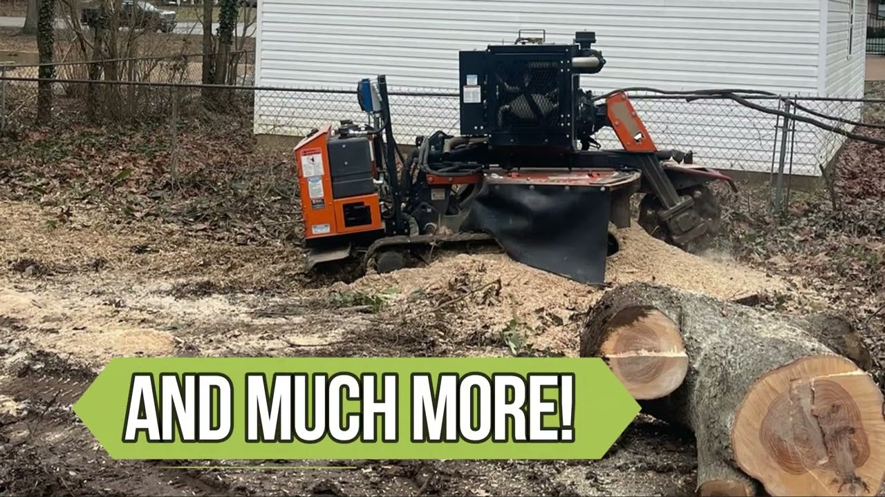 Vasquez Tree Service and Stump Grinder