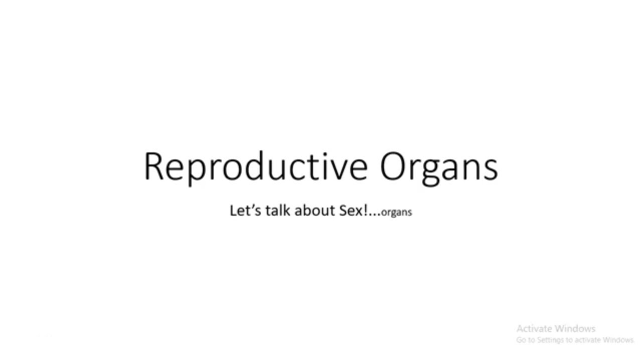 Reproductive System (VETERINARY ASSISTANT EDUCATION)