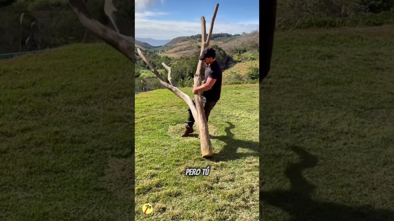 🤯 The secret of the log that becomes a shelf