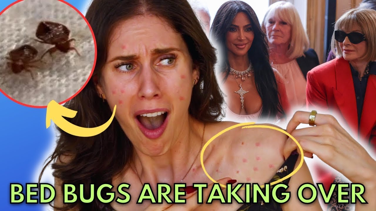 Do I Have Bed Bugs? — Your Bed Bug Survival Guide