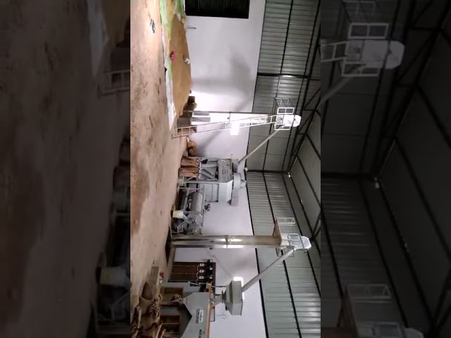 Grading Machine - Automatic Wheat Grading Plant Manufacturer from Ambala