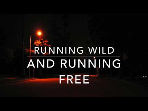 Renegades - X Ambassadors (lyric video)