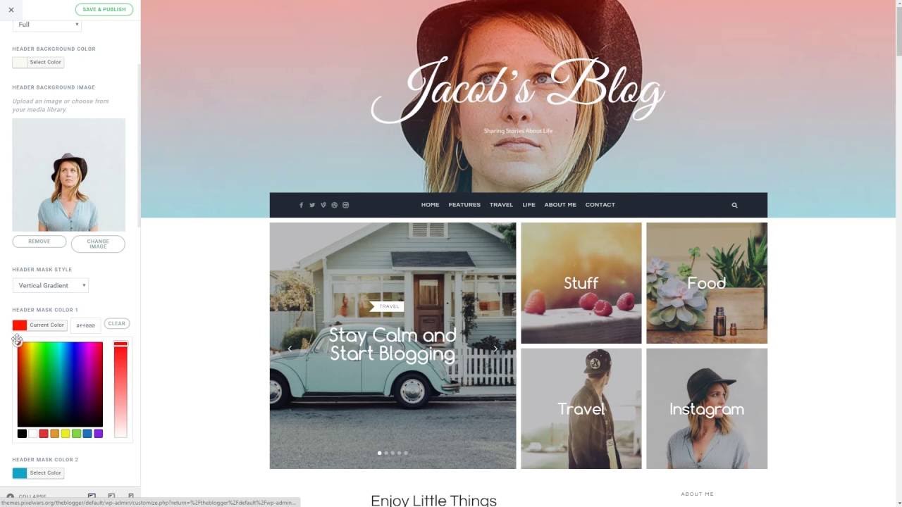 TheBlogger WordPress Theme - Live Customizer