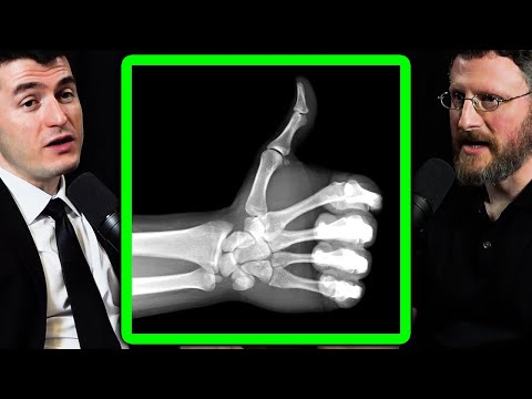 The thumb is important for evolution of humans | Jonathan Reisman and Lex Fridman