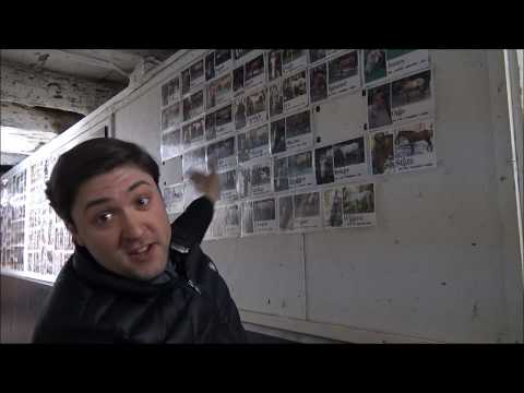 Profile of a Barn Manager