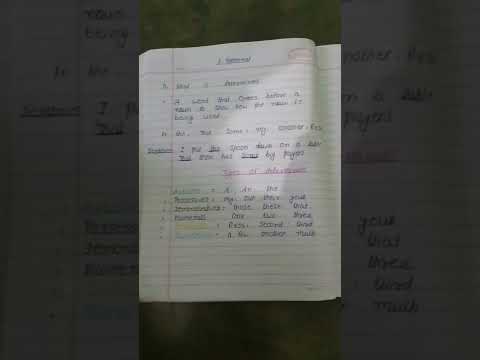Determiner Definition And Types with Examples and sentences