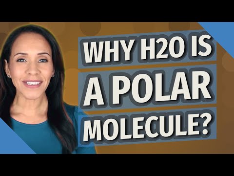 Why H2O is a polar molecule?