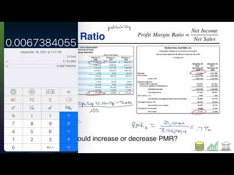 Financial Statement Analysis (Profit Margin Ratio)
