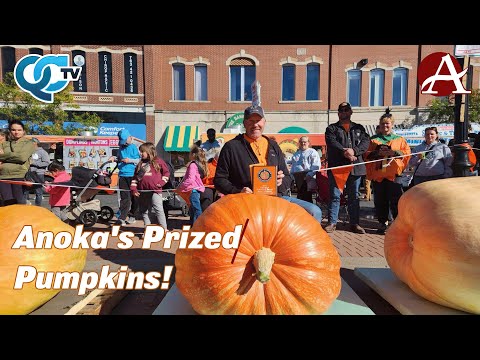 Great Pumpkin Expo 2024 | Anoka, MN | QCTV