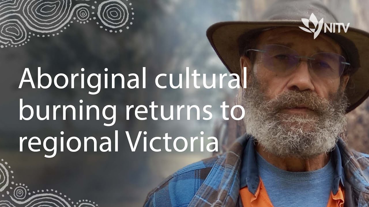 Aboriginal cultural burning returns to regional Victoria | The Point | NITV