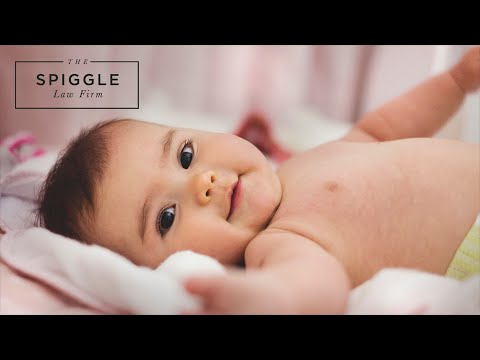 Paid Family Leave for U.S. Federal Employees | The Spiggle Law Firm Newsroom
