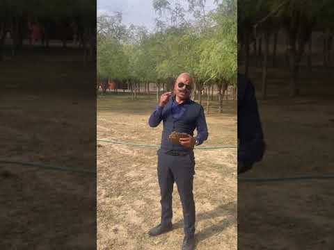 Dr Rakesh Arya in action about his experience of Organic Wellness Farm and Products