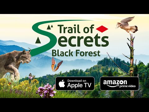 Trail of Secrets - Black Forest: Stream on Apple TV and Amazon Prime Video