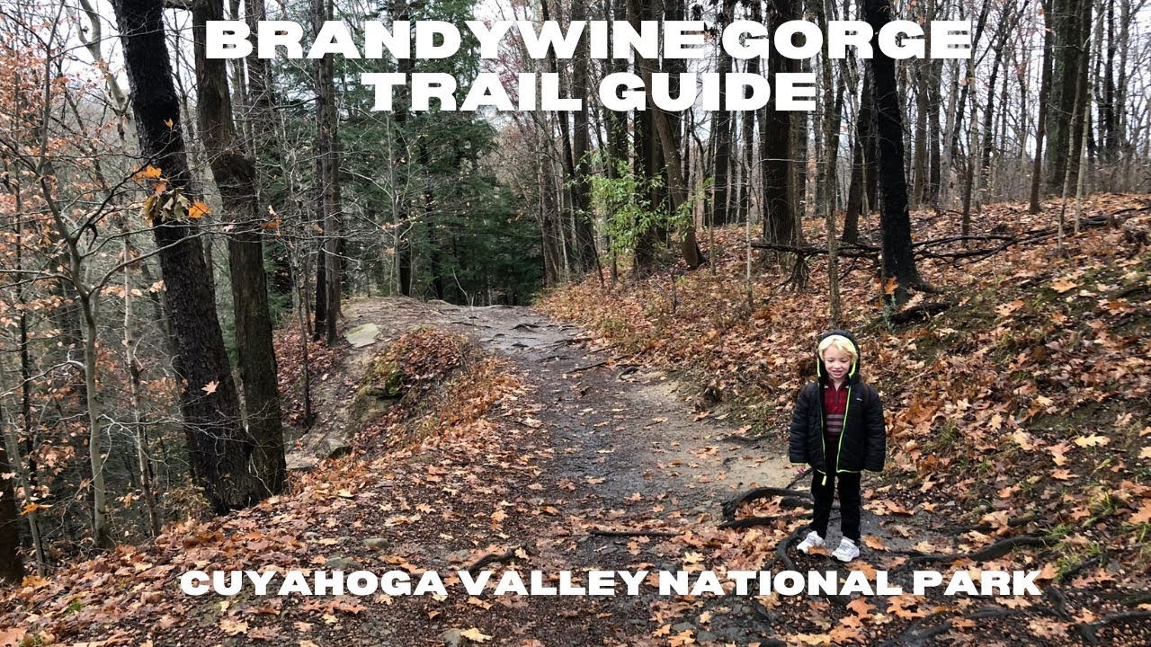 Brandywine Gorge Trail Guide (Cuyahoga Valley National Park)