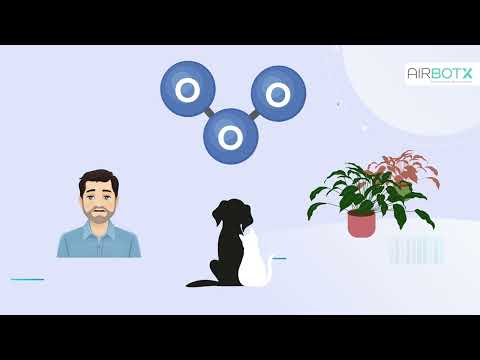 What is Ozone?