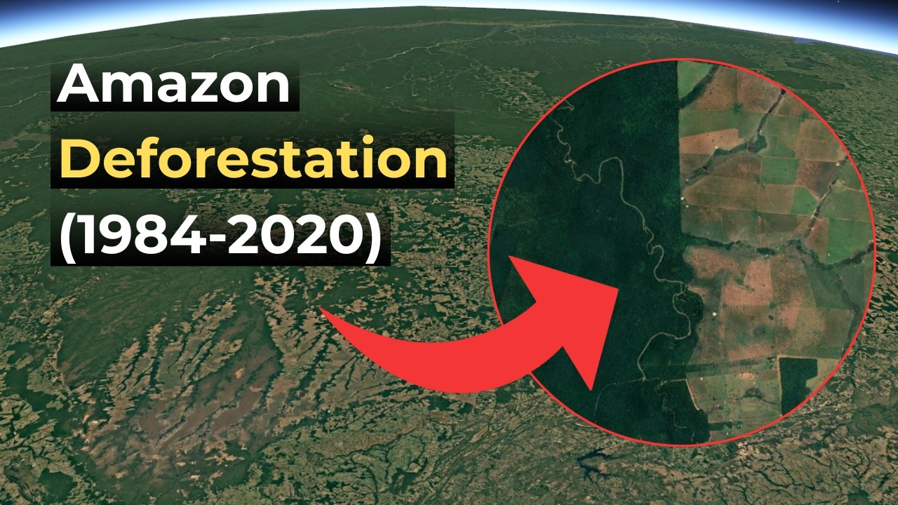 36 Years of Amazon Deforestation | Time Lapse (1984–2020)
