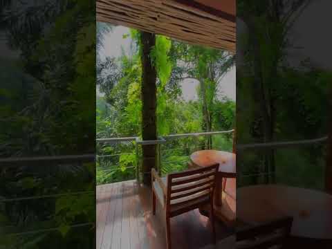 Sacred Valley by Pramana Villas #romantic #travel #ubud #indonesia #staycation #couple #nature