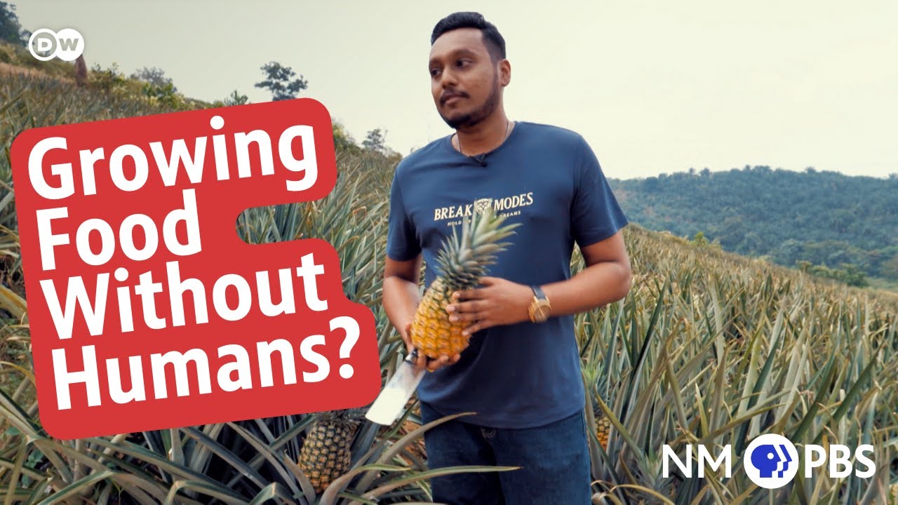 Solving the World’s Food Crisis?