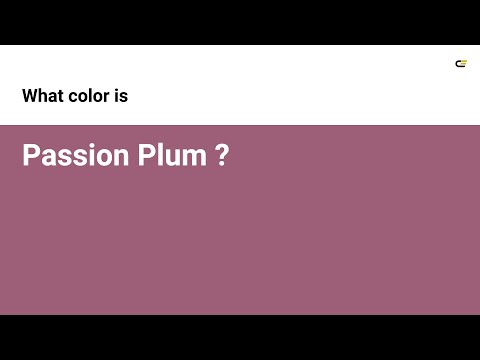 Passion Plum color #9c5f77 hex color - Red color - Cool color 9c5f77