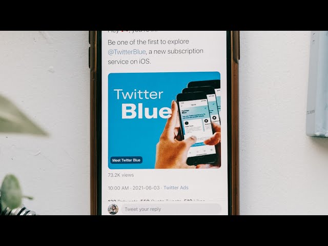 What is Twitter Blue? Memes galore as platform launches subscription ...