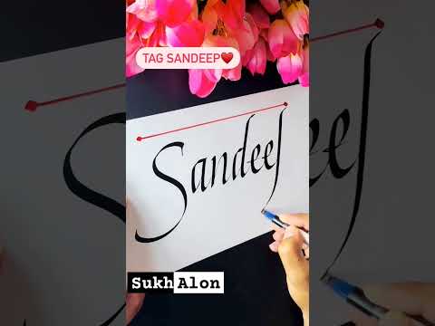 Tag Sandeep #youtuber #follow #name #punjabi #punjabimusic #shorts #viral